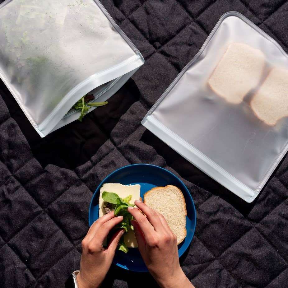 Reusable Flat Gallon Storage Bags 3ct: Clear – PROCESS